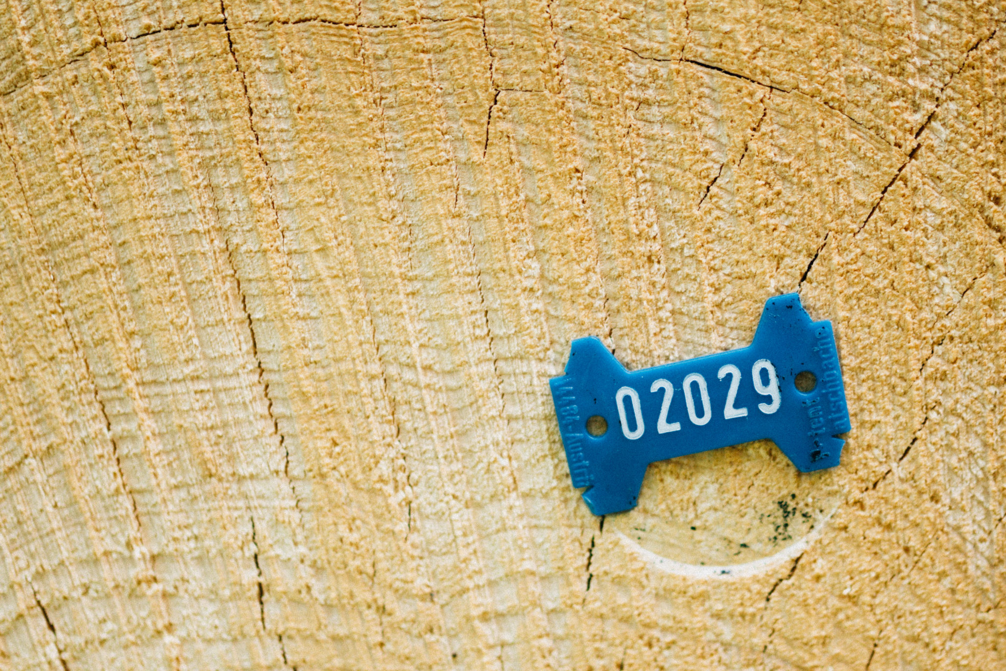 Tagging technology | Latschbacher GmbH